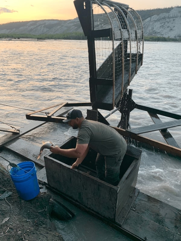 Salmon Fishing in Alaska - Happy Home Alaska
