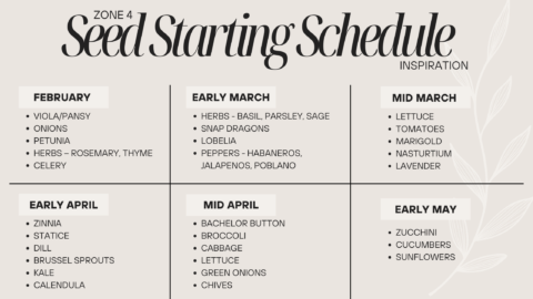 Preparing for the Garden: Seed Organizing, Ordering, & Planning - Happy ...