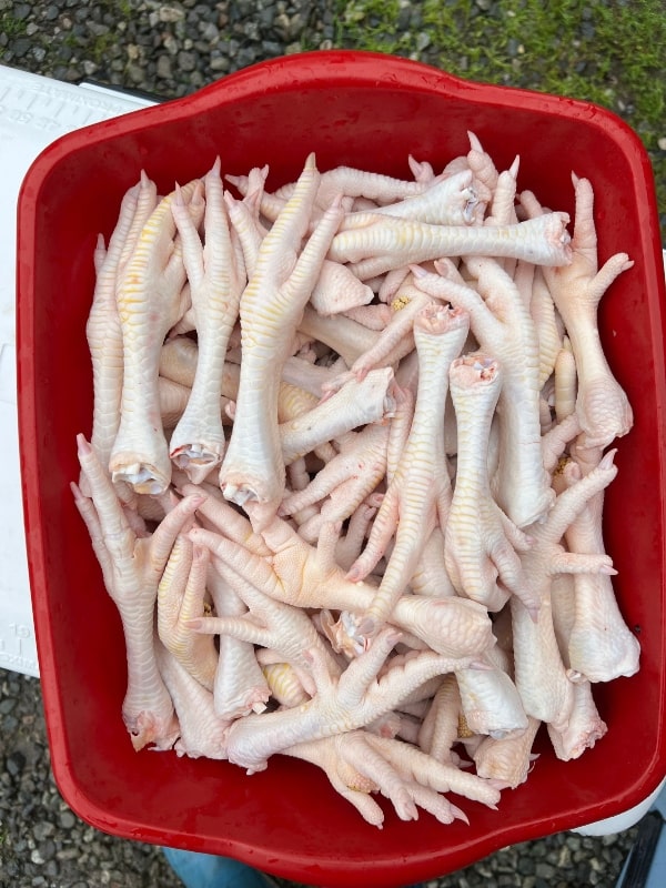 The Best Tools for Raising & Butchering Meat Chickens - Happy Home Alaska