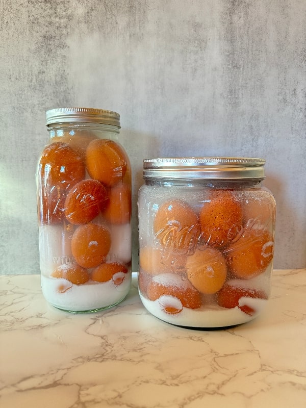 How to Water Glass Eggs - Happy Home Alaska